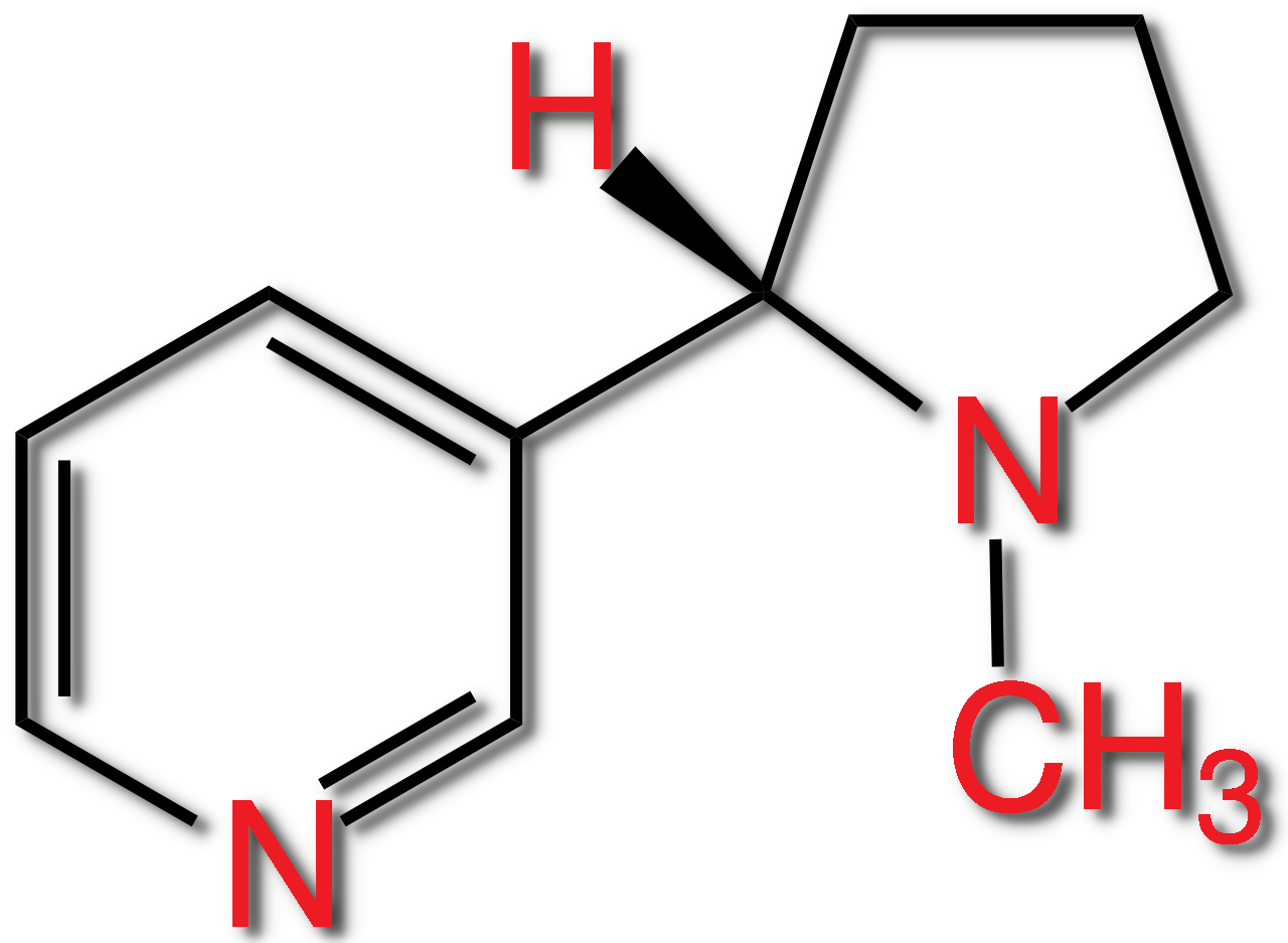 Factsheet Nikotin | Interessengemeinschaft ExRaucher